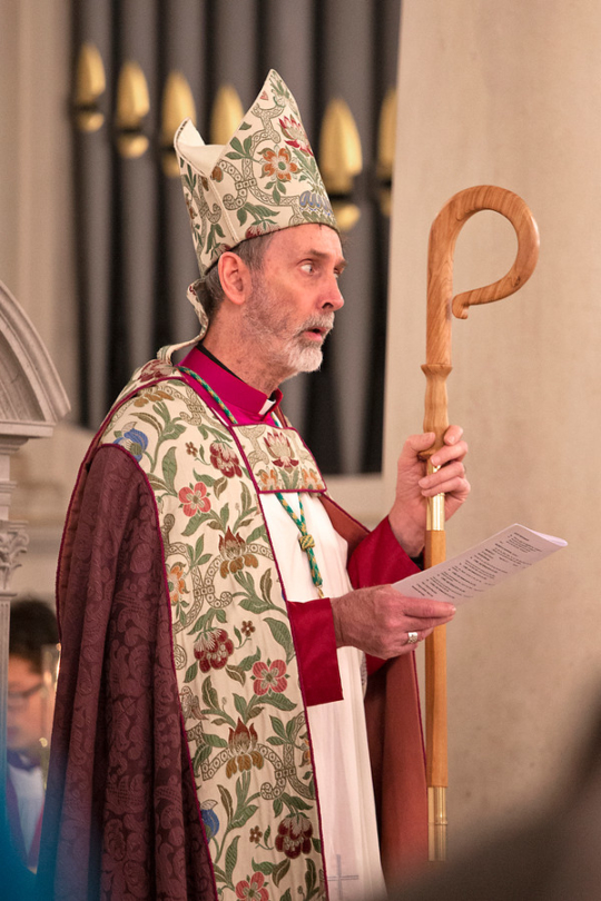 Watch the Advent Service from Brentwood Cathedral - Brentwood Diocese