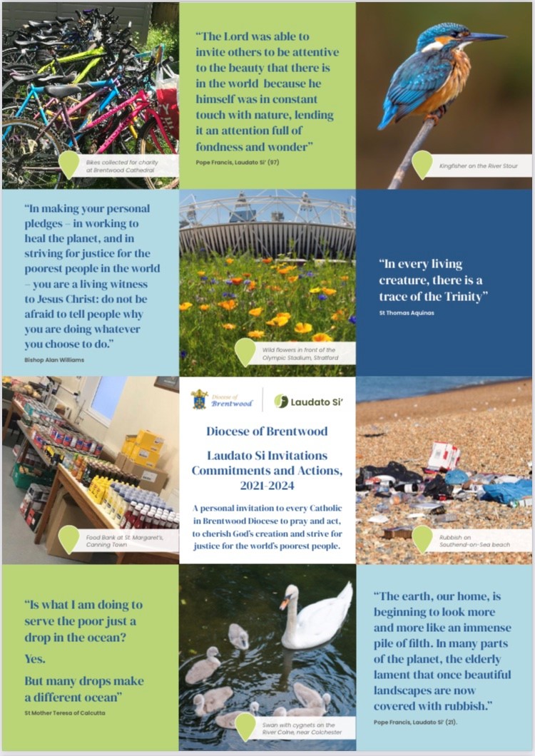 Laudato Si' - Listening and Responding to the Cry of the Earth and the ...