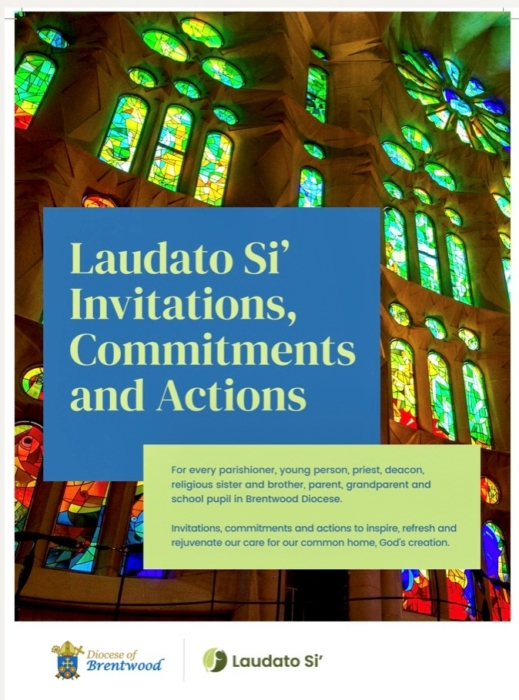 Laudato Si’ - Resources for Primary and Secondary Schools - Brentwood ...
