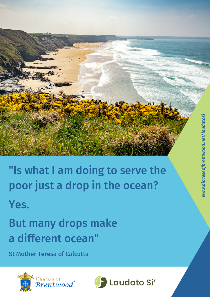 Laudato Si’ - Resources for Primary and Secondary Schools - Brentwood ...