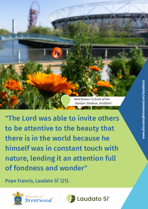 Laudato Si’ - Resources for Primary and Secondary Schools - Brentwood ...