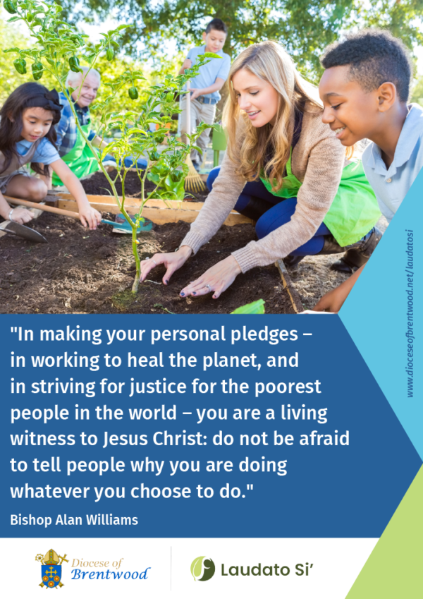 Laudato Si’ - Resources for Primary and Secondary Schools - Brentwood ...