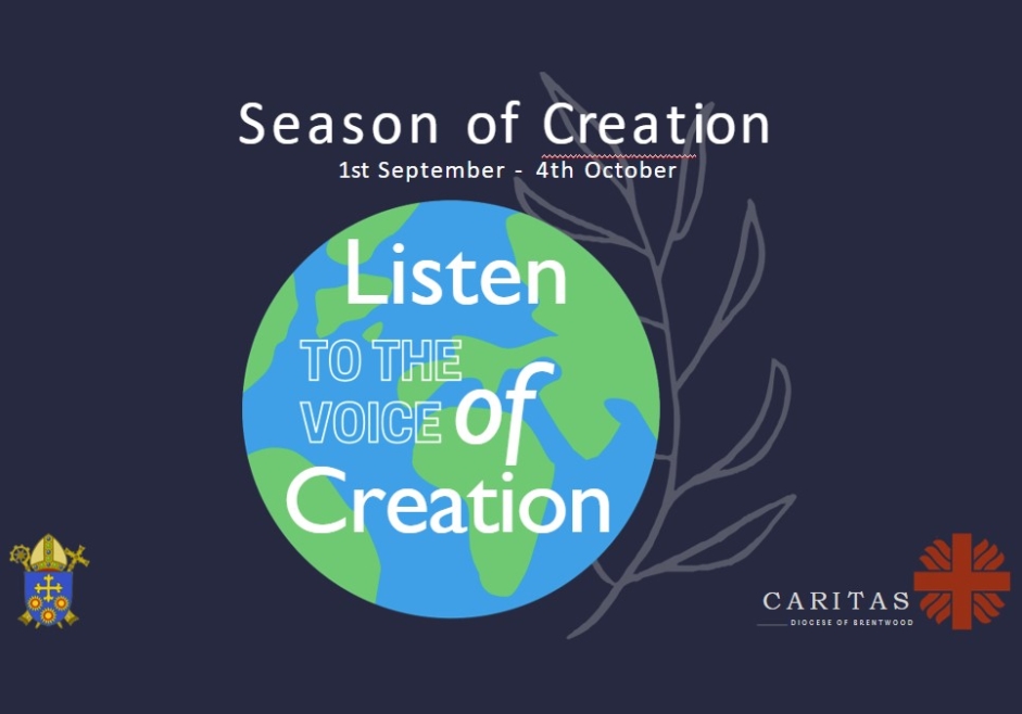Listen to the Voice of Creation - Brentwood Diocese