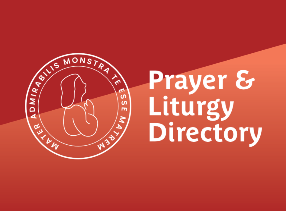 Religious Education Resources - Brentwood Diocese