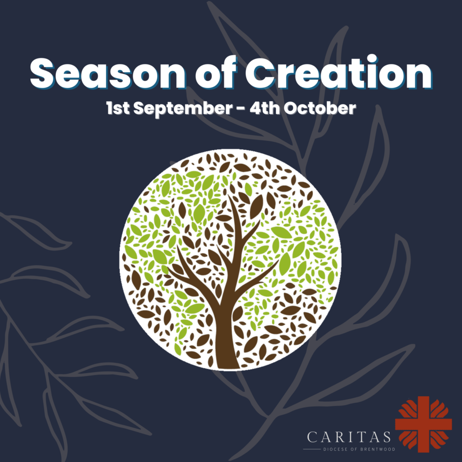 Come together for the Season of Creation - Brentwood Diocese